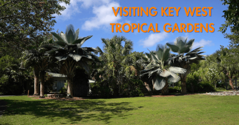 Key West Tropical Forest & Botanical Gardens: A Nature Lover's Paradise